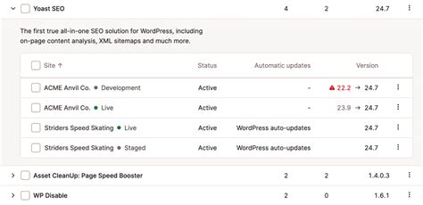 Kinsta Automatic Updates Wordpress Plugin Theme Management