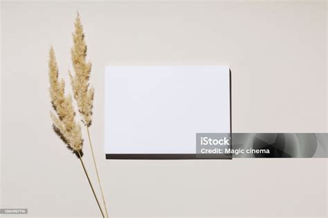 빈 종이 시트 카드와 베이지 색 파스텔 배경 위에 말린 팜파스 잔디와 트렌디 한 그림자와 햇빛으로 모형 최소한의 비즈니스 브랜드 템플릿 플랫 레이 상단 보기 0명에 대한