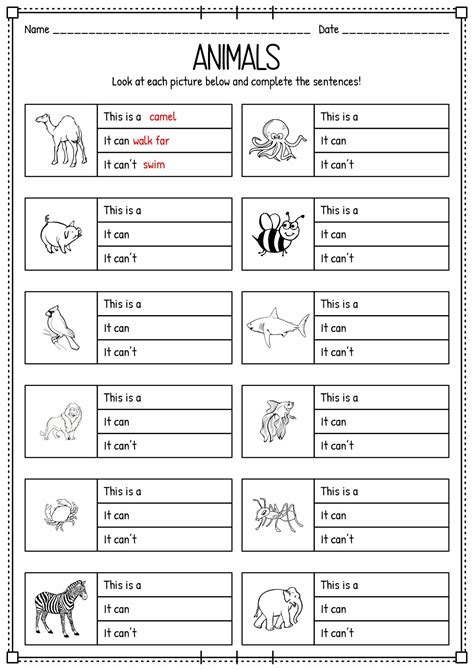 15 Classifying Animals Worksheets Preschool English Worksheets For