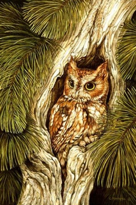 Adored Chir Pine Tree Ek Tha Rusty