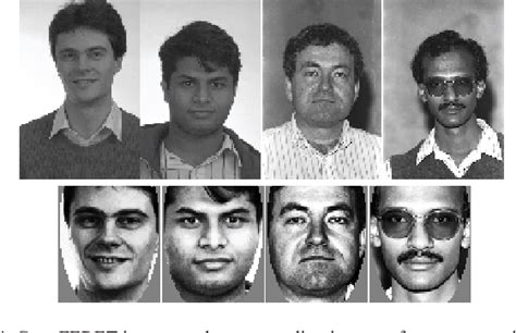 Figure 1 From Face Recognition Under Partial Occlusion And Noise Semantic Scholar