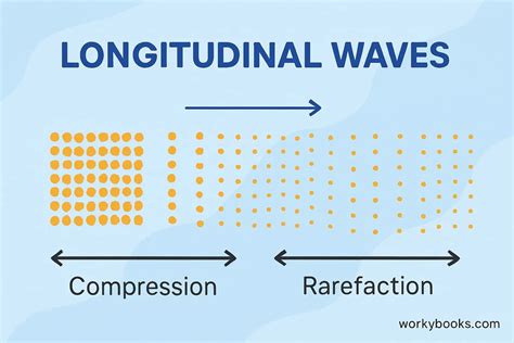 Longitudinal Wave Definition Examples Quiz Faq Trivia