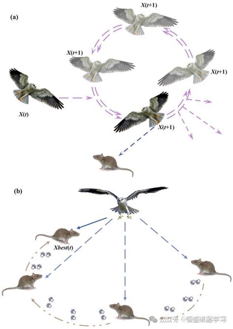 黑翅鸢优化算法bka 2024年sci一区新算法 公式原理详解与性能测评 Matlab代码免费获取 知乎