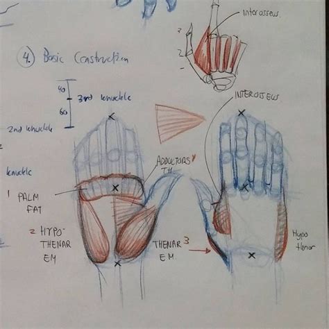 Simple Hands Art Artist Figure Sketch Drawing Thumbsup