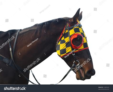 Horse Racing Blinkers At Jared Harper Blog