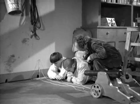 Termites Of 1938 Starring The Three Stooges