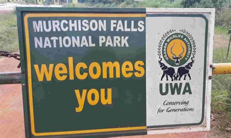 Park Entry Fees Murchison Falls National Murchison Fall Park Fees