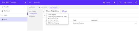 IBM API Connect Security With Basic Authentication And LDAP