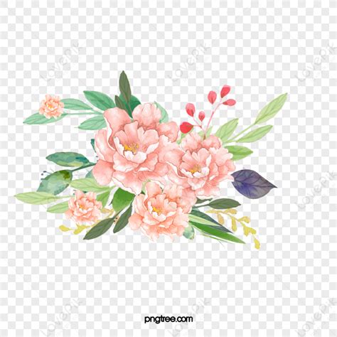 수채화 핑크 꽃 일러스트 우아한 스타일포도 수확열대 꽃