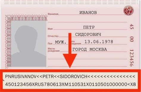 Что Означают Цифры В Паспорте Внизу Фотографии —