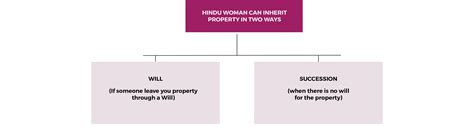 Women Property Rights Under Hindu Inheritance Law Pink Legal