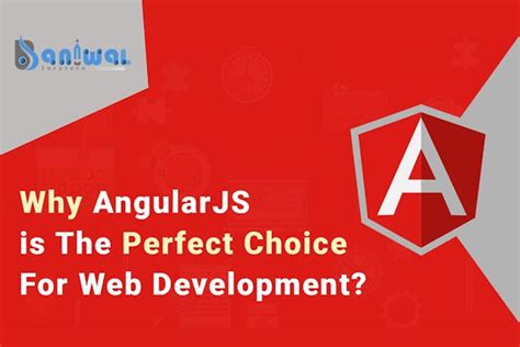 hire professionals for angularjs development services baniwal