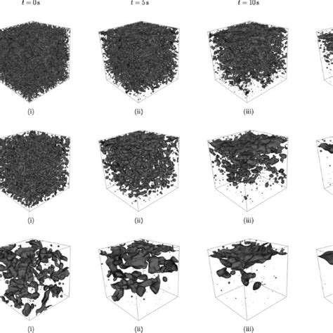 Visualization Of The Segregation Process For Varying R Rows Correspond Download Scientific