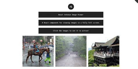 12 Awesome React Photo Gallery Components Onaircode