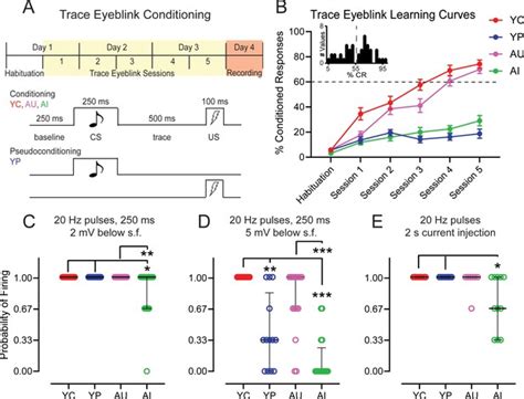 Persistent Firing In Lec Iii Neurons Is Differentially Modulated By Learning And Aging Elife