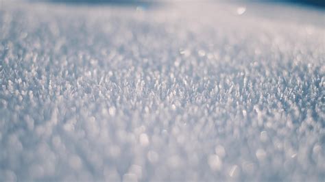En Images De Laveyron Au Stade De France En Passant Par De Nombreux