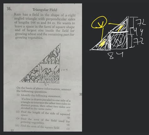 Triangular Fleld Ram Has A Field In The Shape Of A Right Angled Triangle
