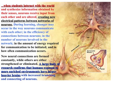 Perception Cognition Worldviews Ppt