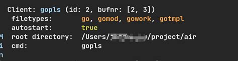 Should Re Use The Same Server For Multiple Workspaces Only The Server Supports It · Issue 2326