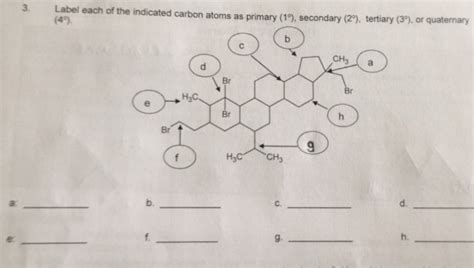 Solved 3 Label Each Of The Indicated Carbon Atoms As Primary