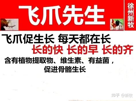 土鸡脚趾怎样张的快 鸡吃什么脚蹬子长得快 公鸡长蹬子用什么 知乎