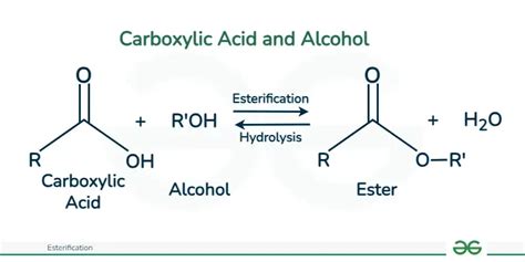 Esterification Meaning Esterification Article About Esterification