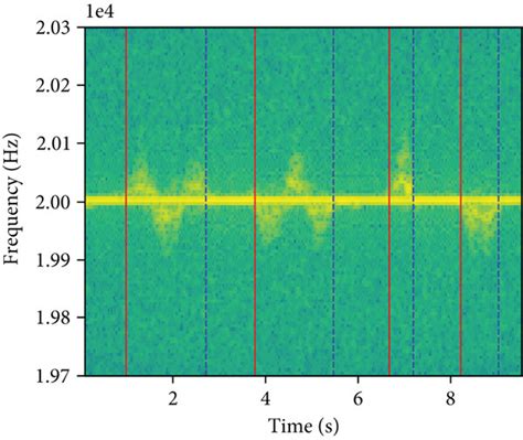 Data Preprocessing A Spectrum Before Filtering B Spectrum After