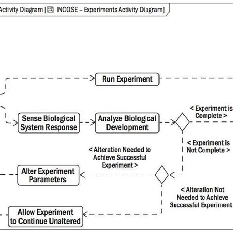 Sysml Activity Diagram Showing The Process Flow Of Typical Biomedical Download Scientific