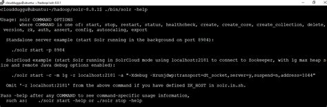 apache solr basic commands cloudduggu