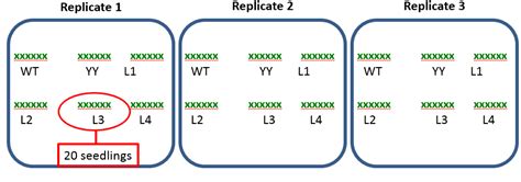 what is “experimental unit” “replicate” “total sample size