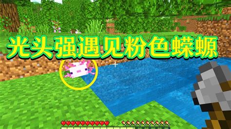 我的世界无尽贪婪05：凶悍的美西螈，进入它的领地，会被攻击！腾讯视频