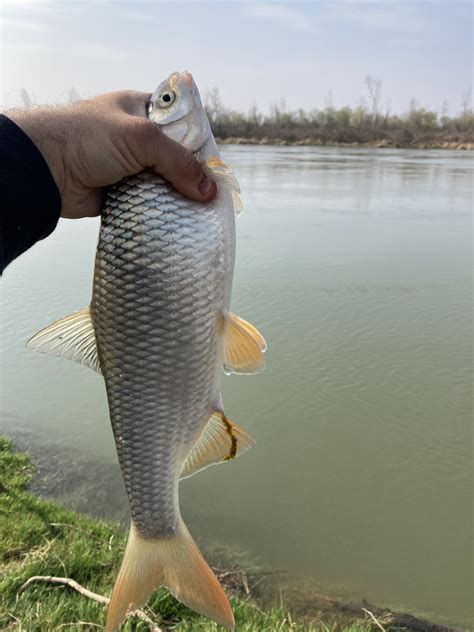 8643 E6 Ed Ee6 F 4 C7 E 948 A Bc60 C5 A6 C50 C — Postimages