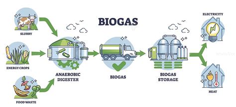 Biogas Production Stages With Bio Gas Generation Process Outline Diagram Vector Esquemas