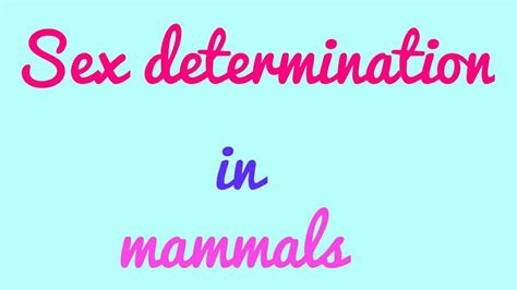Csir Ugc Net Lesson 4 Secondary Sex Determination In Mammals In
