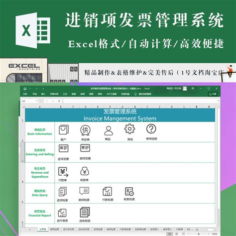 財務專用 進項銷項發票管理系統 帶進項銷項收付發票報表統計查詢excel表格 蝦皮購物