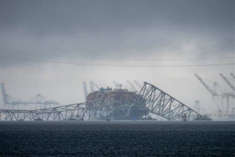 Главные фотографии 2024 года по версии «Газеты Ru Газета Ru