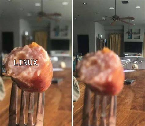 Microsoft ️ Linux Rlinuxmemes