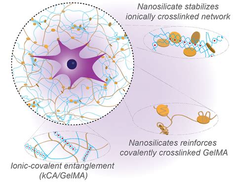 Nanoengineered Bioinks For 3d Printing