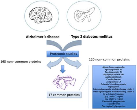 Alzheimers Disease And Type 2 Diabetes Mellitus A Systematic Review