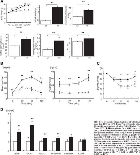 Figure 3 From P Selectin Glycoprotein Ligand 1 Deficiency Is Protective Against Obesity Related