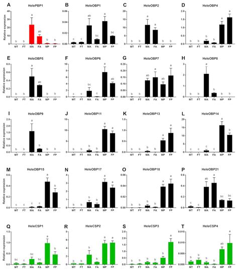 Sex And Tissue Specific Expression Of Odorant Binding Proteins And