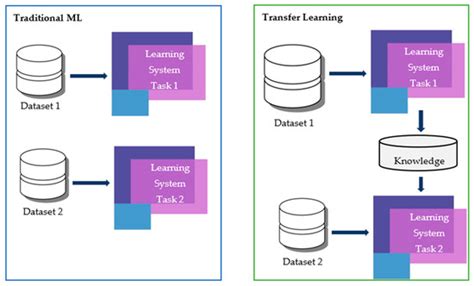 Sustainability Free Full Text A Study Of CNN And Transfer Learning In Medical Imaging