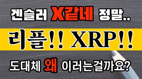 리플코인 욕나오네요 겐슬러 정말 X같습니다 이사람 왜 이러는거죠 Youtube