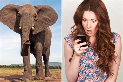 Woman 41 Proud To Be Cougar As She Only Dates Lads 10 Years Younger