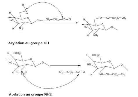 Chitosan Agriculture Use