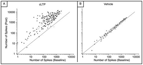 There Is A Persistent Increase In Spiking Activity After Chemical