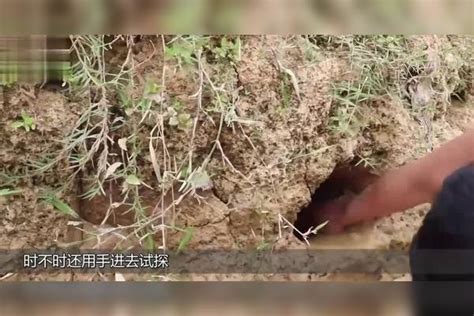 缅甸小哥河边发现奇怪洞穴上前一探究竟后太夸张了吧 洞穴 缅甸