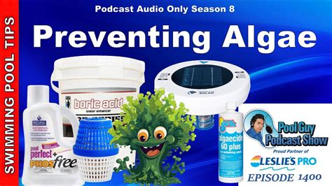 Best Ways To Prevent Algae In Your Pool