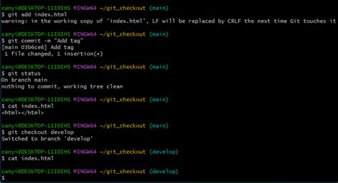 Git Workflow Checkout