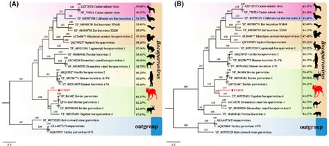 Bayesian Consensus Trees Based On The NS1 A And VP B Amino Acid